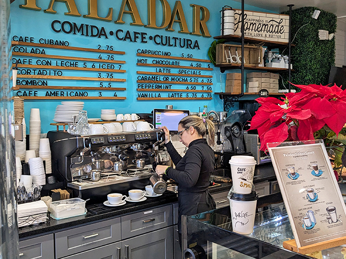 Behind that turquoise wall, baristas craft liquid happiness, proving that coffee isn't just a drink &ndash; it's a warm, caffeinated hug.