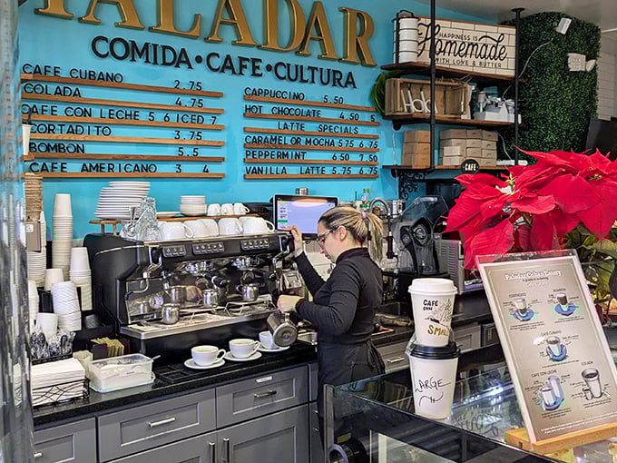 Behind that turquoise wall, baristas craft liquid happiness, proving that coffee isn't just a drink &ndash; it's a warm, caffeinated hug.
