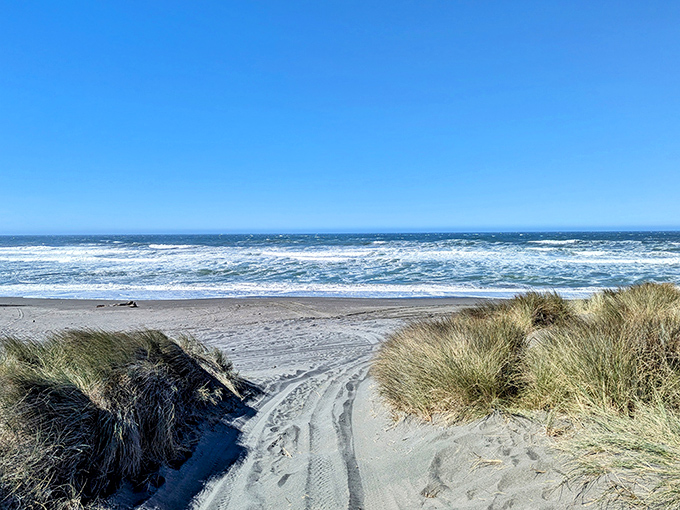 Where dunes meet ocean in a perfect California postcard moment. No filter needed, just add your own footprints.