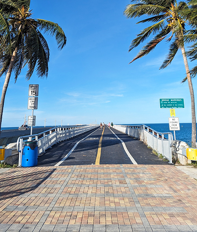 The gateway to adventure: Palm trees frame the entrance to Old Seven, where 15 MPH is the perfect speed for soaking in panoramic ocean views.
