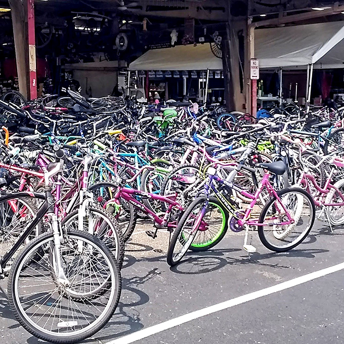 Bicycle heaven! A kaleidoscope of two-wheeled transportation options where your next ride is just waiting to be discovered.