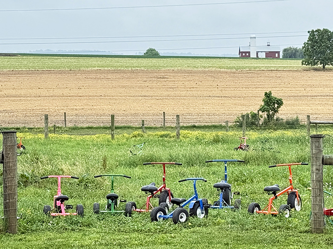 Colorful tricycles wait patiently in a field, childhood's version of an Amish parking lot.