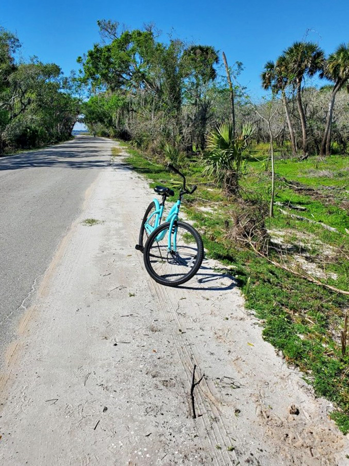 A solitary turquoise bike waits patiently on the park road, ready for the next adventurer to discover Myakka at the perfect pace.