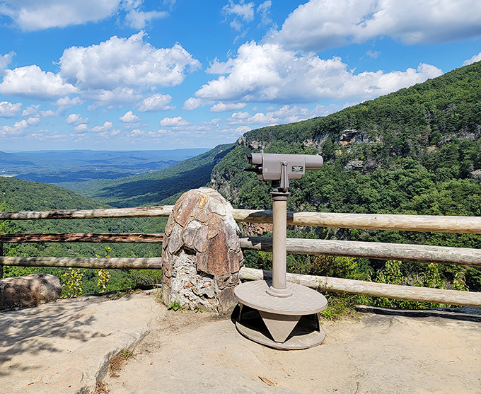 These binoculars help you spot details that'll make you appreciate nature's incredible attention to craftsmanship.