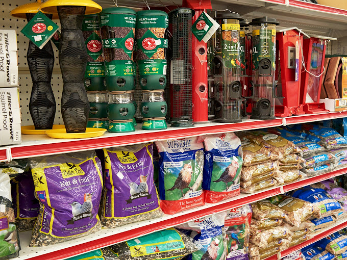 Backyard birding central – where feathered friend supplies and seed varieties promise to transform your yard into an avian hotspot.