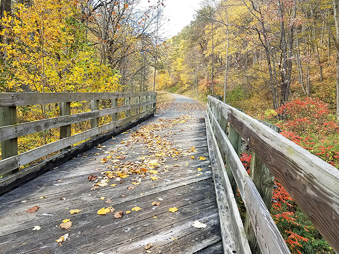 Autumn leaves scatter across this wooden bridge like nature's confetti, celebrating the change of seasons in technicolor.