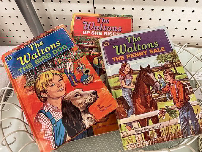 The Waltons books&mdash;childhood nostalgia in literary form. Before streaming, these stories transported us to Walton's Mountain.