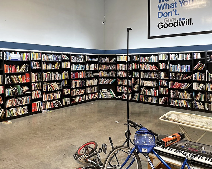 The book section: where literary treasures hide in plain sight and bibliophiles can rebuild their libraries without breaking the bank.