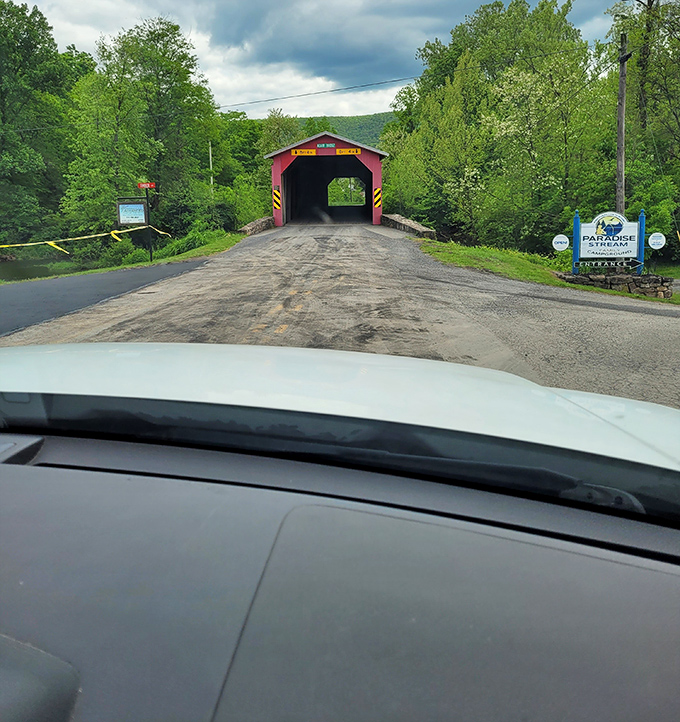 The dashboard view that makes you pull over. Some attractions simply demand to be experienced outside the car.