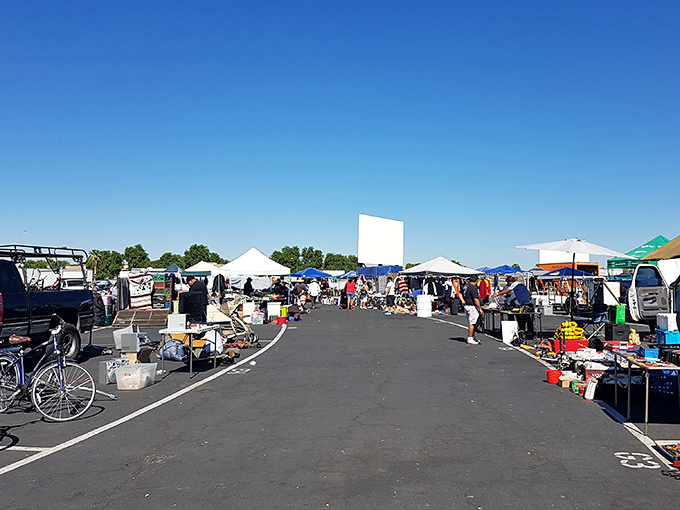 The early bird gets the best finds &ndash; morning shoppers scan the horizon of possibilities before the midday heat intensifies.