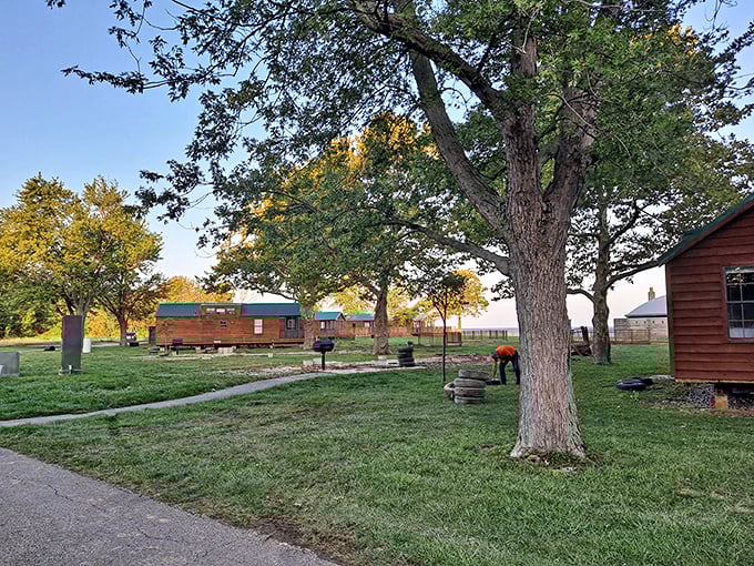 Rustic cabins nestled among autumn trees offer the perfect compromise between camping and comfort. S'mores included, memories guaranteed.