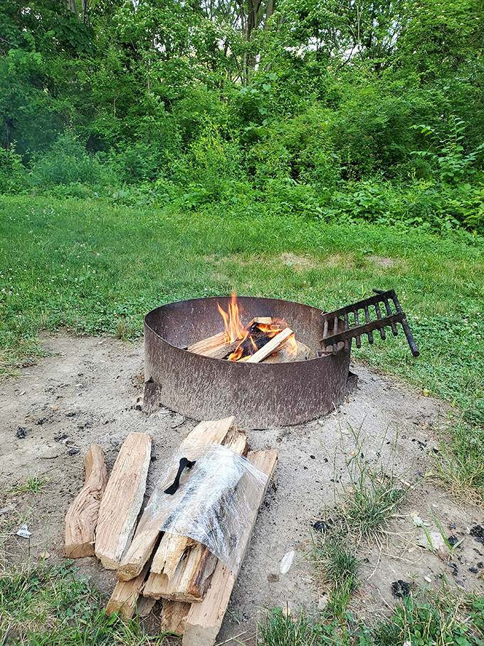 Primal television: a campfire that's been entertaining humans long before Netflix, with the added bonus of s'mores programming.