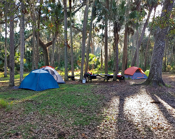 Camping under Hontoon's canopy is like having the world's most exclusive outdoor hotel room, with stars providing the ceiling.
