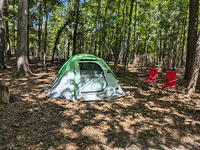 Camping here means waking up to views that most people pay thousands to see on vacation.