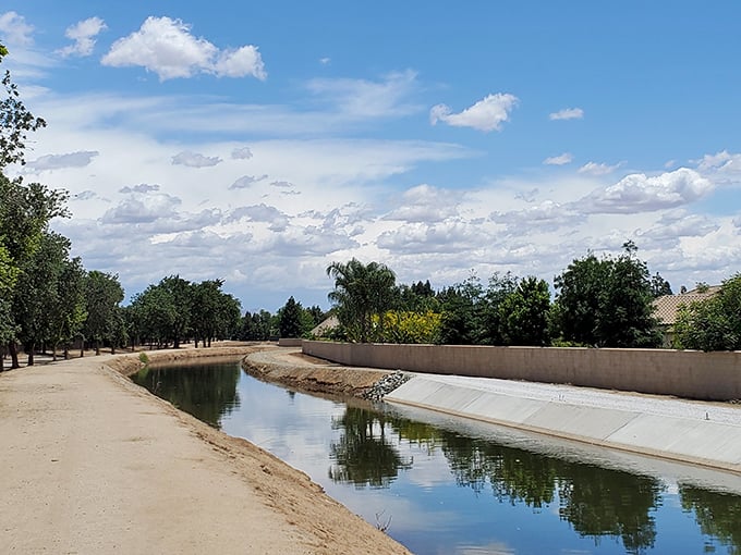 The canal trail system offers peaceful water views and flat walking paths&mdash;nature's gift to anyone with new knees.
