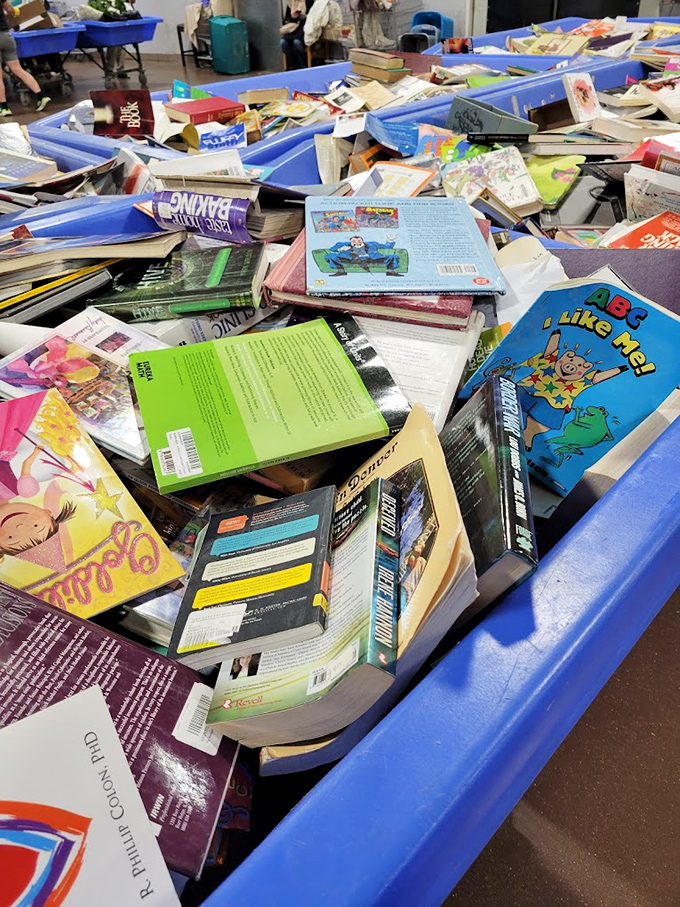 Children's books ready for new bedtime adventures, where stories find fresh young eager listeners.