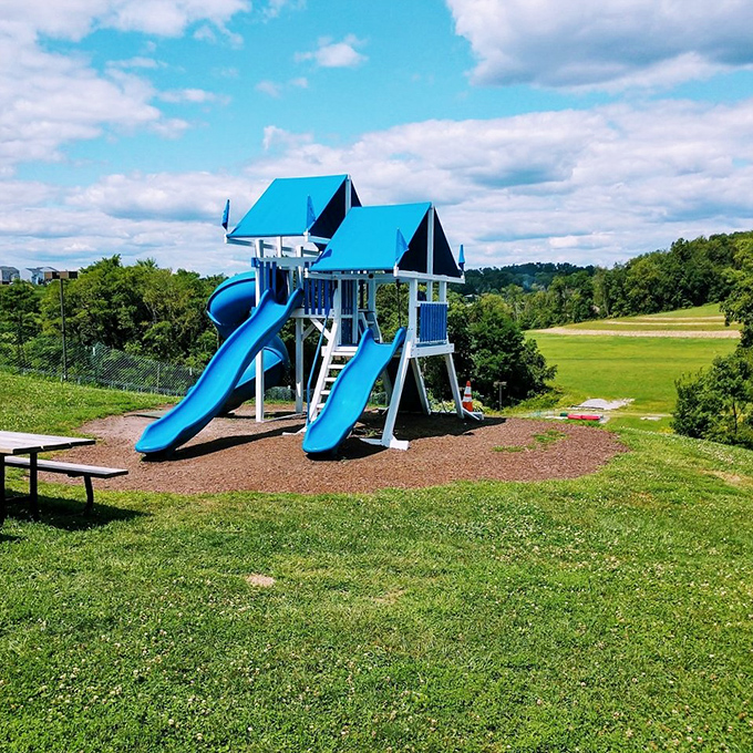 A playground where kids burn off sugar highs while parents contemplate a second scoop. Strategic planning at its finest.