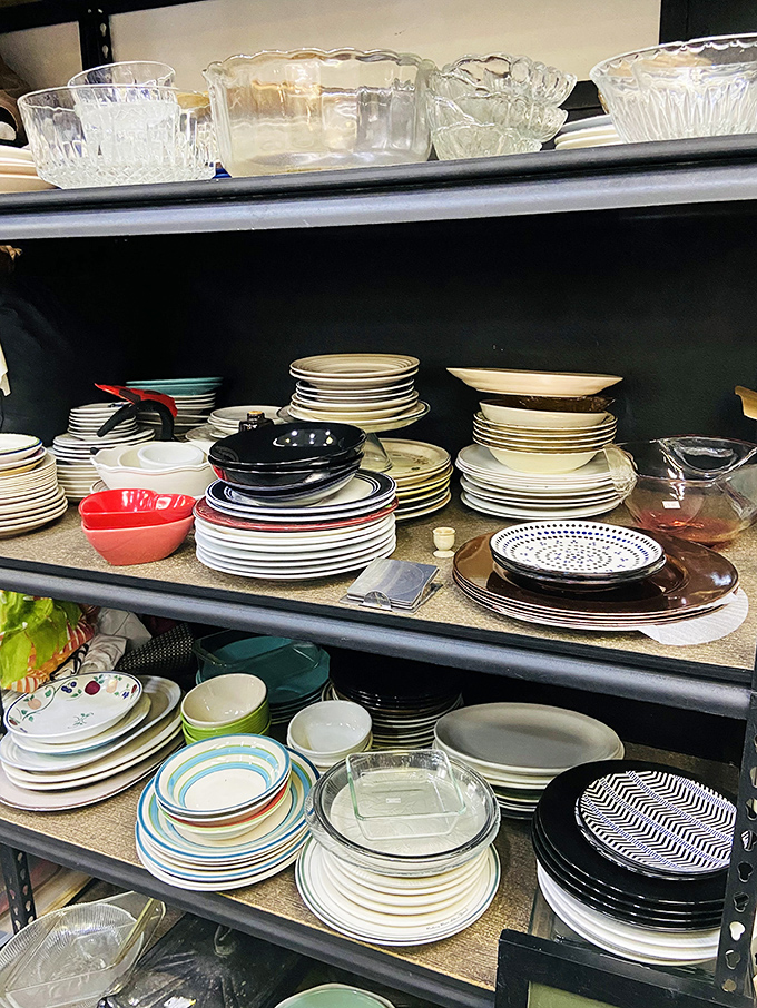 Dish-covery zone! These stacks of plates span decades of dining trends&mdash;from minimalist white to grandma-approved patterns that make meatloaf taste better.