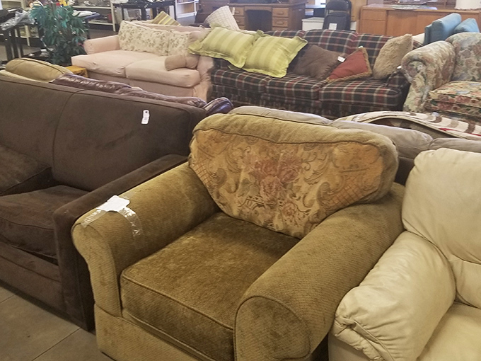 The couch collection&mdash;where mid-century meets country cottage in a comfortable conversation about the meaning of "vintage."