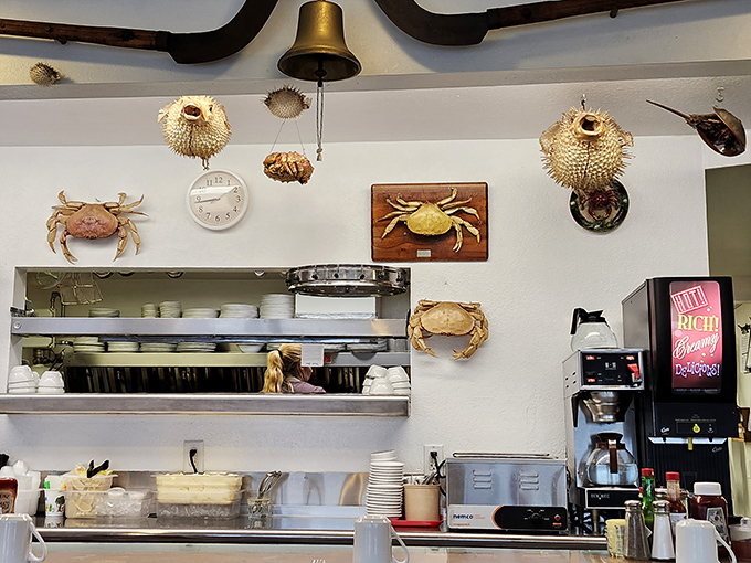 The wall of maritime memorabilia, complete with pufferfish and crabs, serves as both decoration and a visual menu of what might arrive on your plate.