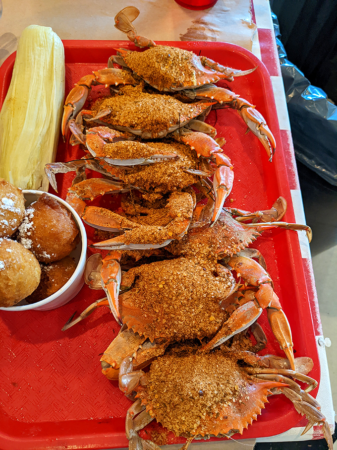 These seasoned crabs, lined up like a delicious red carpet event, are dressed in their spicy best. The corn and hush puppies? Just their fashionable accessories.