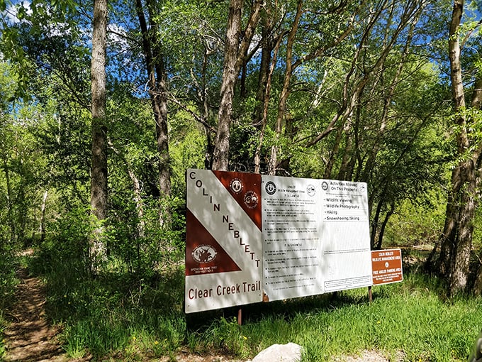 Clear Creek Trail: where "taking a hike" transforms from punishment to privilege. Those trees are practically begging you to wander beneath them.