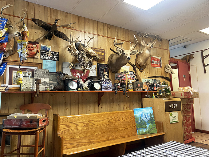 The wall of wildlife watching over diners creates that authentic "lodge meets smokehouse" atmosphere that's been perfected in small-town America.