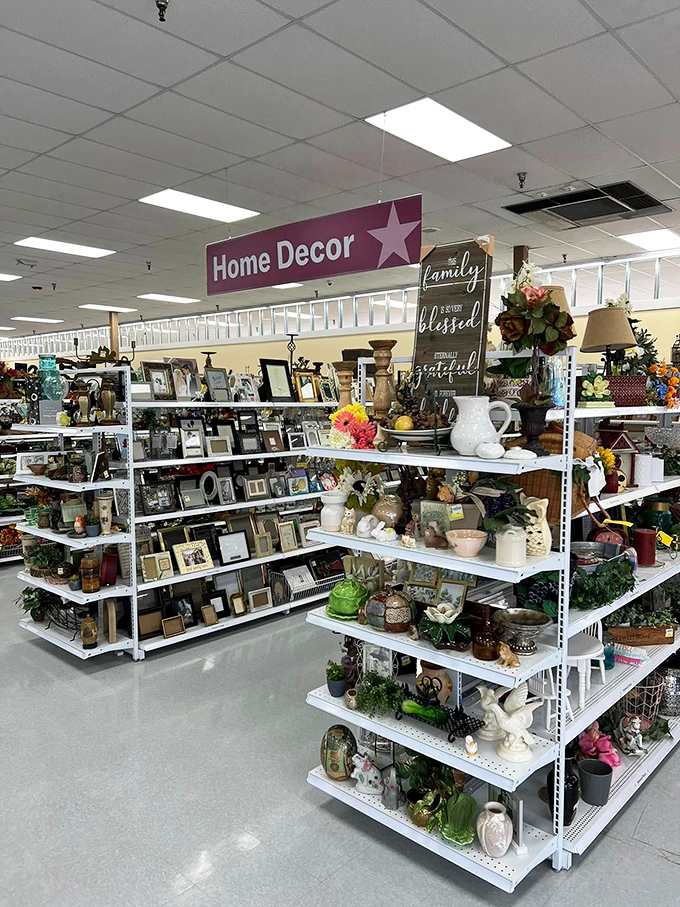 Home decor creates vignettes of possibility, where farmhouse chic meets vintage charm in budget-friendly harmony.