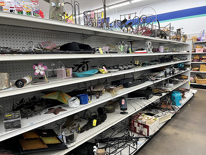 Home d&eacute;cor treasures await adoption by creative souls. That ceramic owl might just be the statement piece your bookshelf has been missing all along.