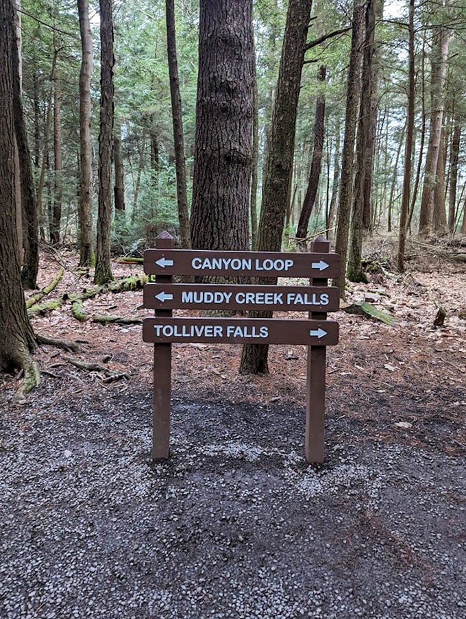 Trail signs point the way to adventure, promising three distinct waterfall experiences within a surprisingly compact hiking loop.