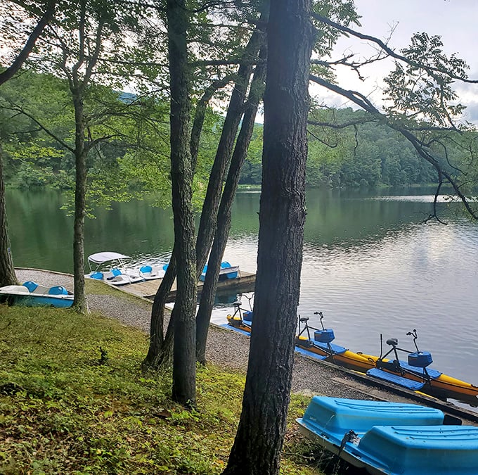 Colorful kayaks waiting patiently for their next adventure. The hardest decision you'll make today is which one to choose.