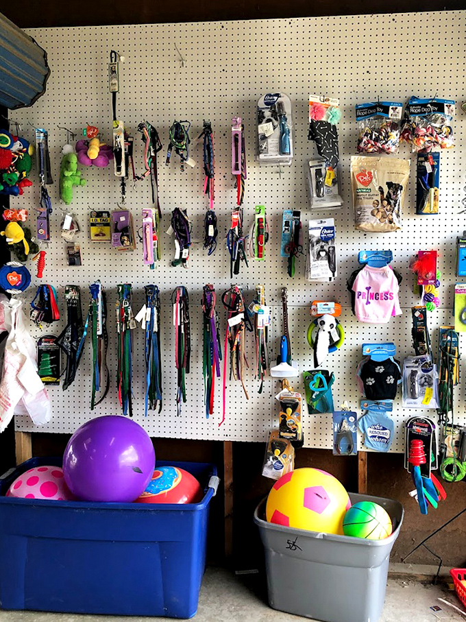 Pet paradise on pegboard! Dog leashes, toys, and treats for four-legged family members who deserve flea market treasures too.