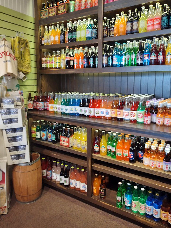 A rainbow of bottled sodas that makes adults feel like kids in a candy store. Nostalgia in liquid form, neatly arranged for maximum temptation.