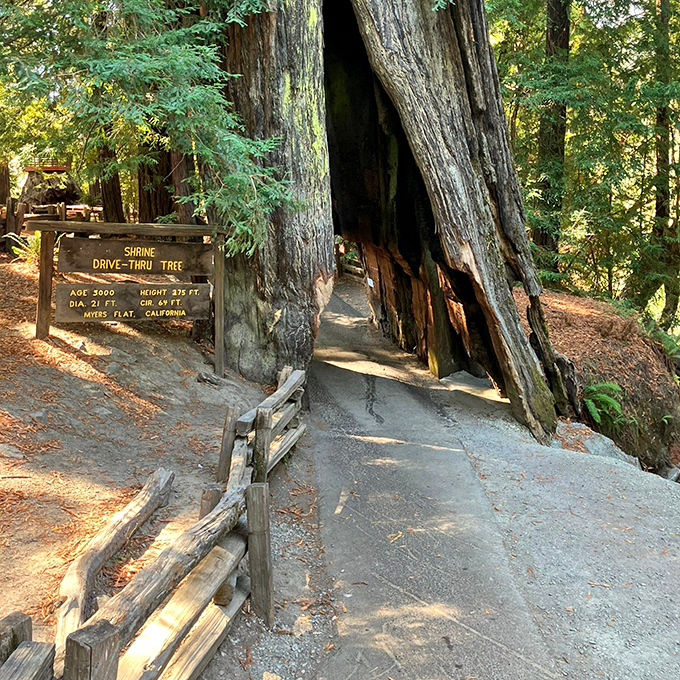 "You want me to drive through WHAT?" This 2000-year-old marvel offers the world's most impressive garage door, carved by time and tourism.