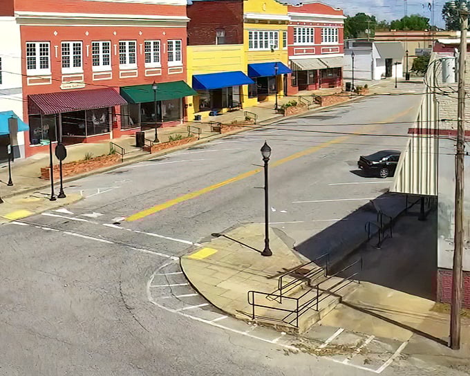 This bird's-eye view reveals Whitmire's layout, where nature embraces the edges of town in a verdant South Carolina hug.