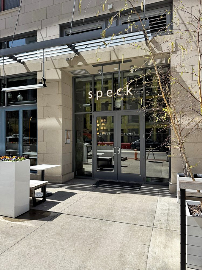 Daylight reveals Speck's clean lines and inviting entrance, like the opening scene of a movie where you know something wonderful is about to happen.