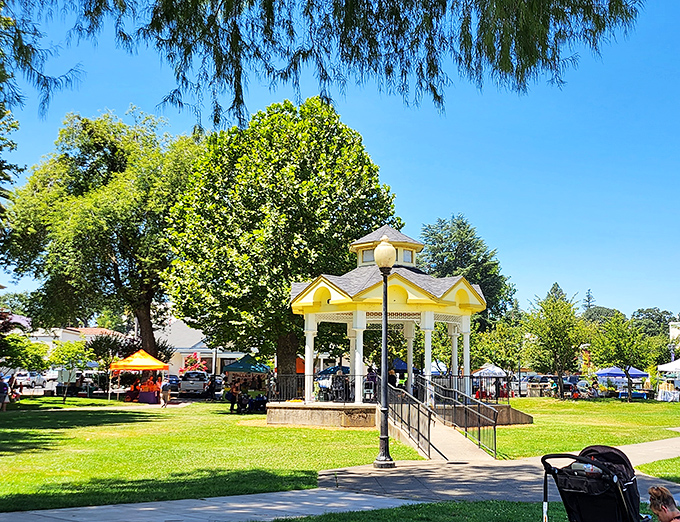 The town gazebo stands like a wedding cake centerpiece amid the farmers market, where community happens one handshake at a time.