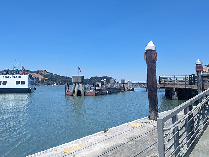 The Angel Island ferry approaches the dock, carrying excited day-trippers and the occasional camper who's packed either too much or too little.