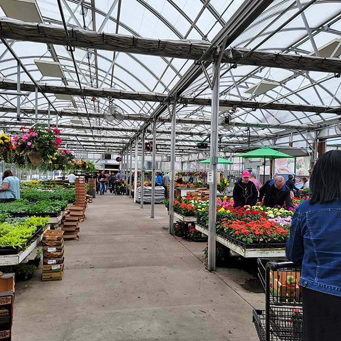 The greenhouse: proof that Shady Maple's commitment to freshness extends beyond the kitchen to your garden.