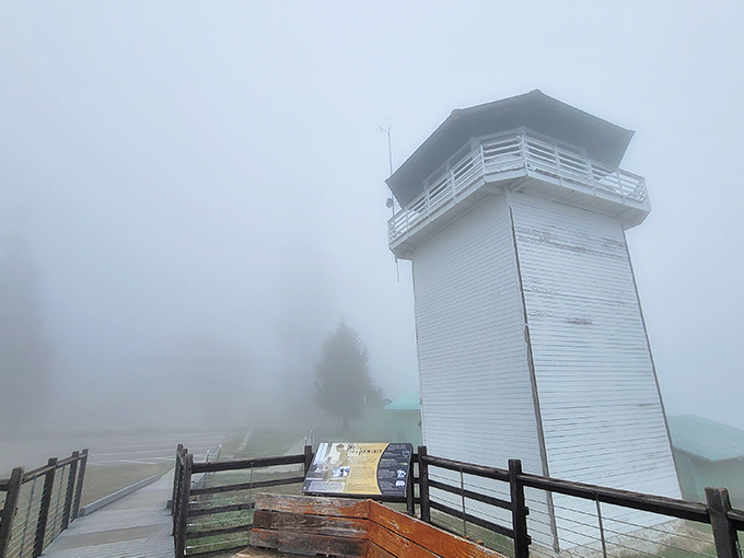 The fire lookout tower emerges from morning fog like a lighthouse for land travelers. Mystery and mountain air come as complimentary amenities.