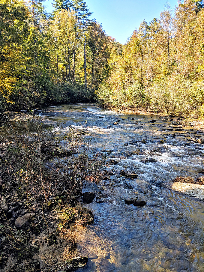 Nature's original highway: This rushing stream has been carving its path through the Appalachian foothills since before humans dreamed of interstate highways.