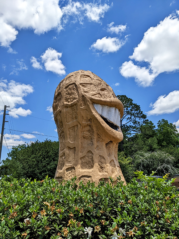 Looking up at the peanut's impressive height gives you a new perspective on just how committed Plains is to celebrating its agricultural heritage.