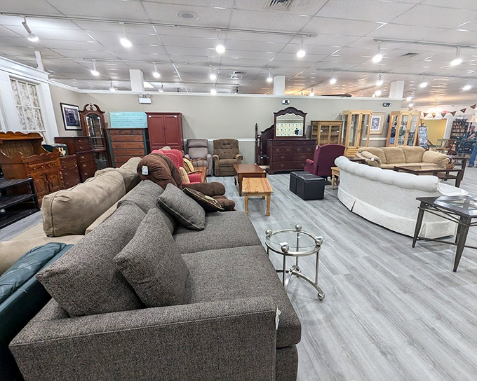 Couches and sectionals lounging casually, as if at a furniture cocktail party waiting for their forever homes.