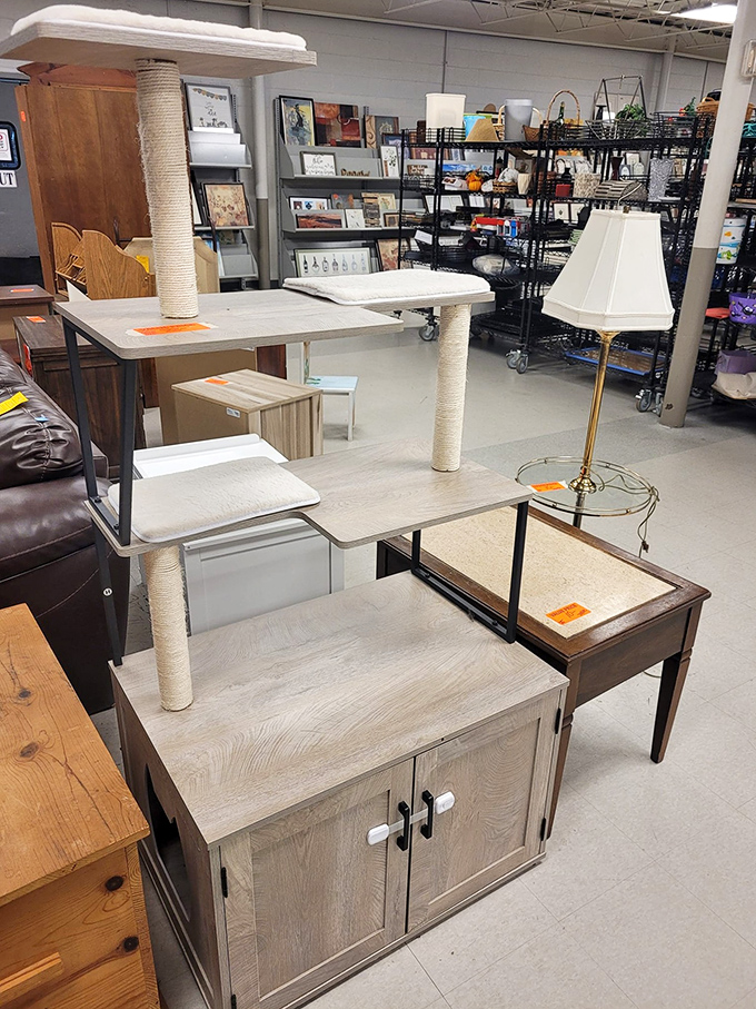 Pet paradise meets furniture finds in this eclectic corner. That cat tower might be pre-loved, but your feline won't know the difference&mdash;only your wallet will.