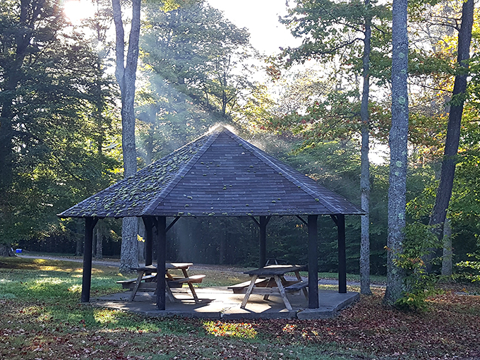 This shaded gazebo offers respite from daytime sun before the evening's main event. The perfect spot to contemplate your cosmic insignificance in comfort.