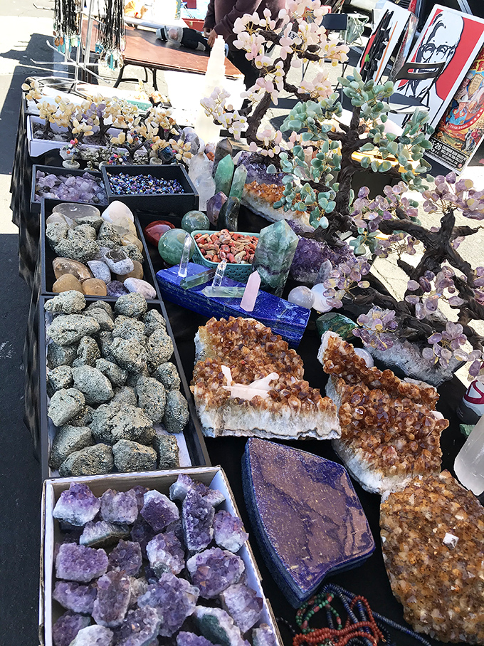 Crystal kingdom! These geological wonders transform ordinary shelves into a treasure cave that would make Indiana Jones consider a career change to New Age shop owner.