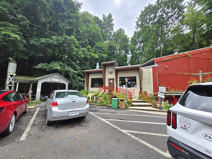 This prehistoric resident guards the entrance area, reminding us that our human history is just a blip in Earth's timeline.