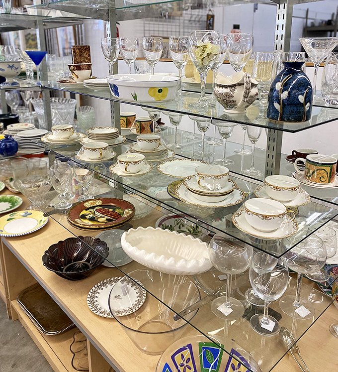 Glassware and china collections that transform ordinary meals into elegant dining experiences worth celebrating.