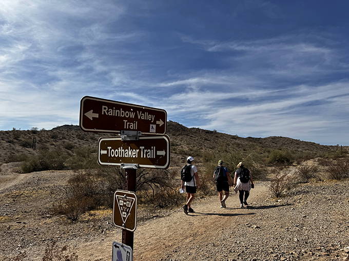 "Which way to adventure?" ask the signs. "Every direction," answers the desert. These hikers have clearly made the right choice.