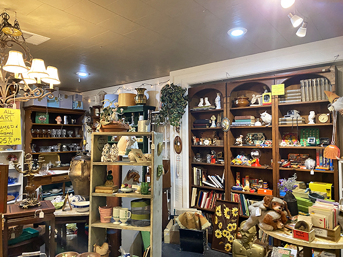 Shelves packed with curated chaos&mdash;teddy bears neighbor with vintage books while brass figurines stand sentinel over forgotten treasures.